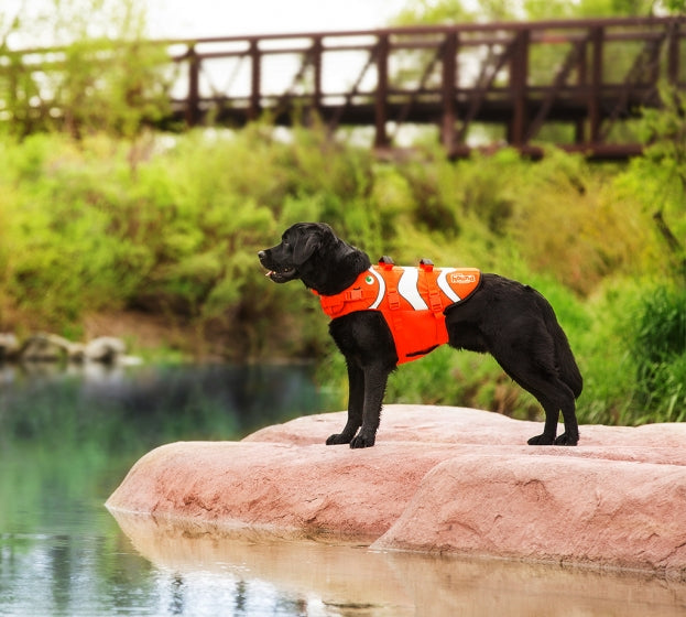 Outward Hound Life Jackets – McMac Pet SA