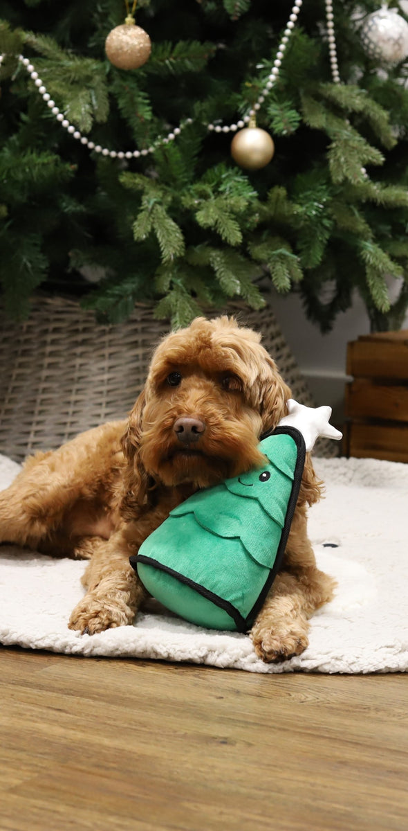 Cuddle Christmas Tree – McMac Pet SA