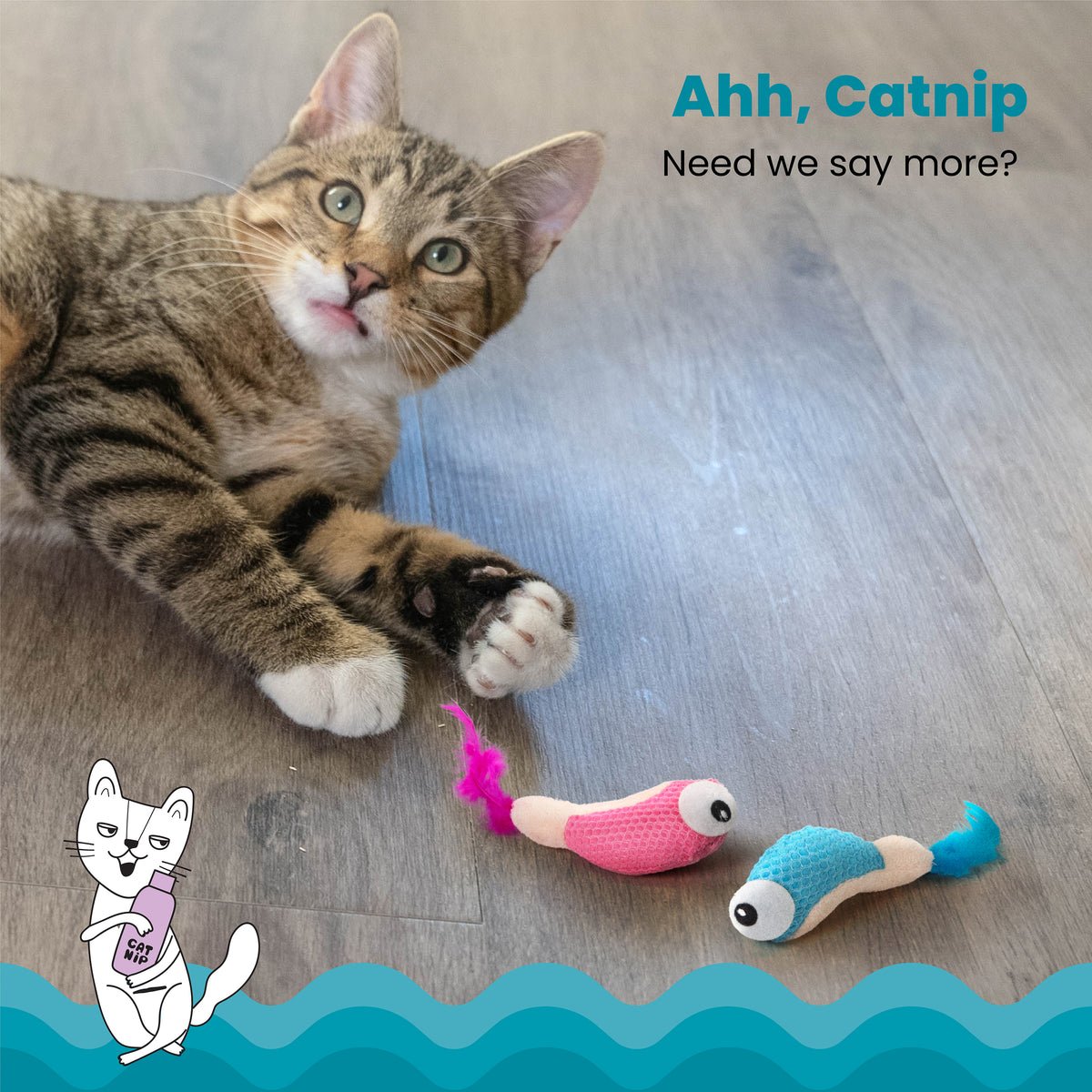 Catstages Dental Shrimpies – McMac Pet SA