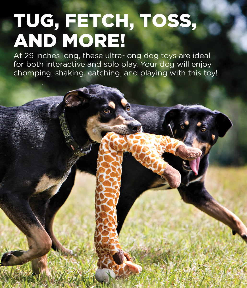Longidude Giraffe – McMac Pet SA
