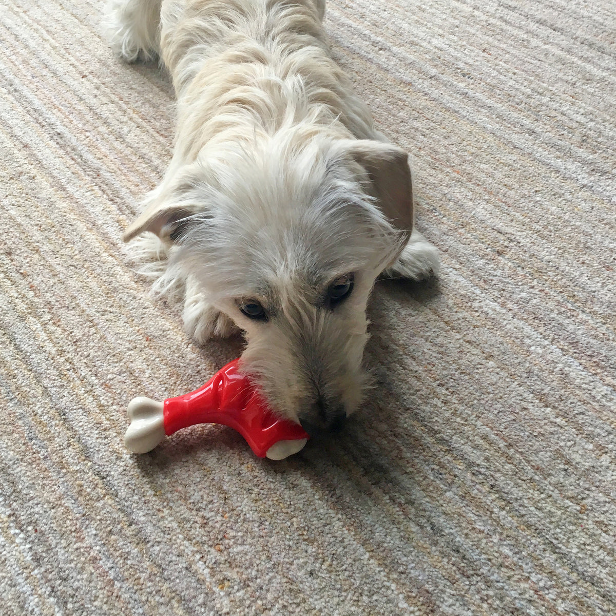 Tough Toys Chicken Leg – McMac Pet SA